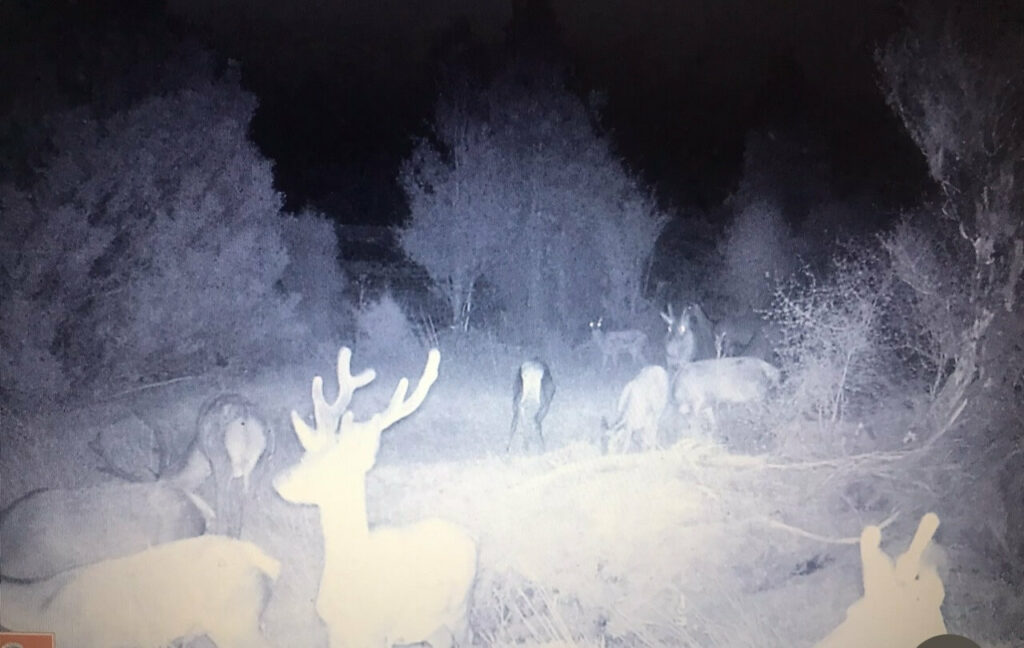 Hunting Gallery - Capturing Moments at West Coast Hunting